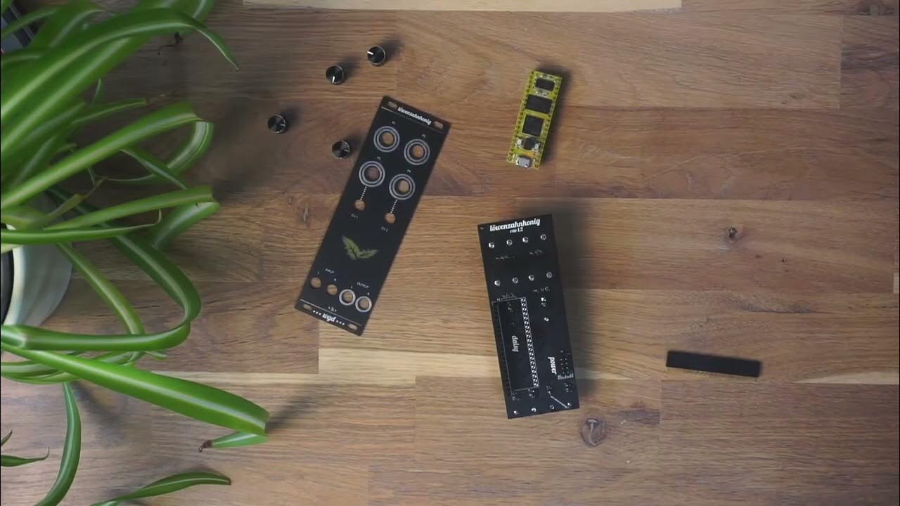 WGD Modular Löwenzahnhonig Stop Motion Build 🌟 - YouTube