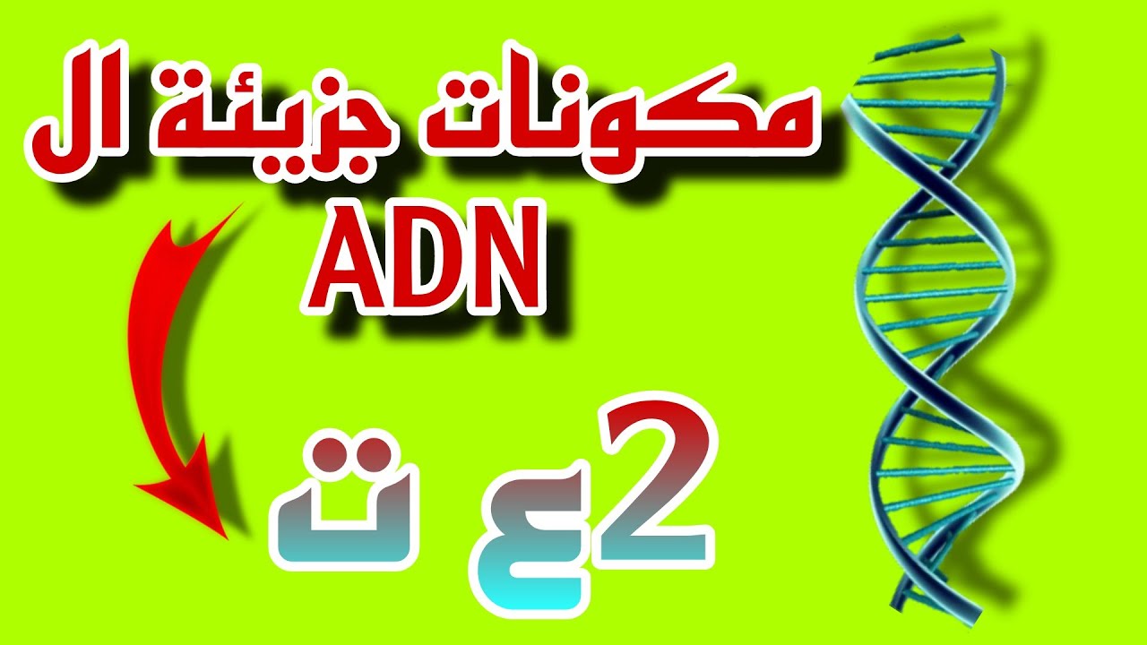 مكونات جزيئة ال ADN الإماهة الجزئية والكلية لل ADN مع #الأستاذ_لزهر ...