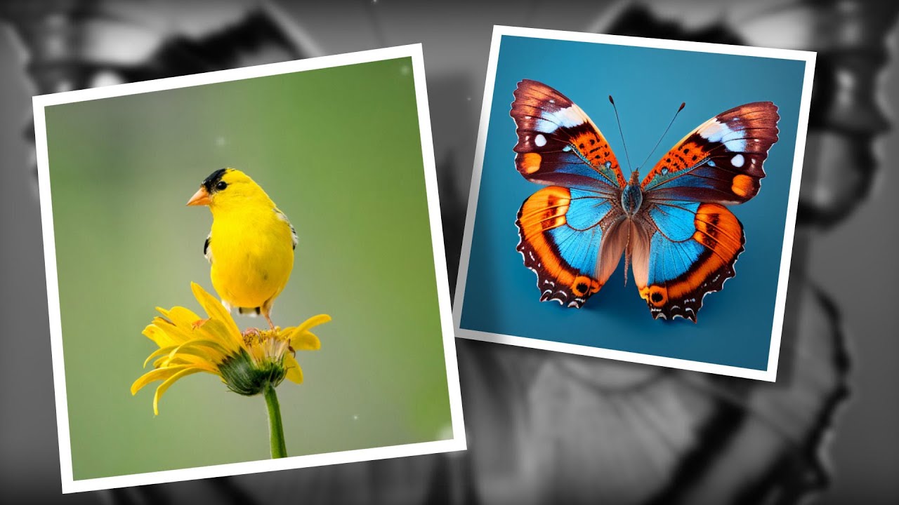 Floating Template and Slide Styles for Photopia - YouTube