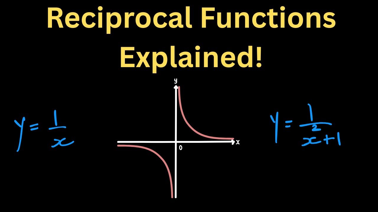 Introduction to Reciprocal Functions | Key Concepts, Graphs Explained ...