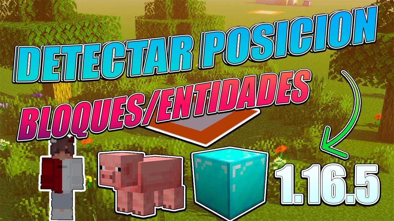 DETECTAR la POSICION de ENTIDADES y BLOQUES-Minecraft 1.16.5 - YouTube