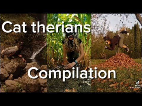 Cat therians🐈🐈‍⬛ tiktok compilation - YouTube