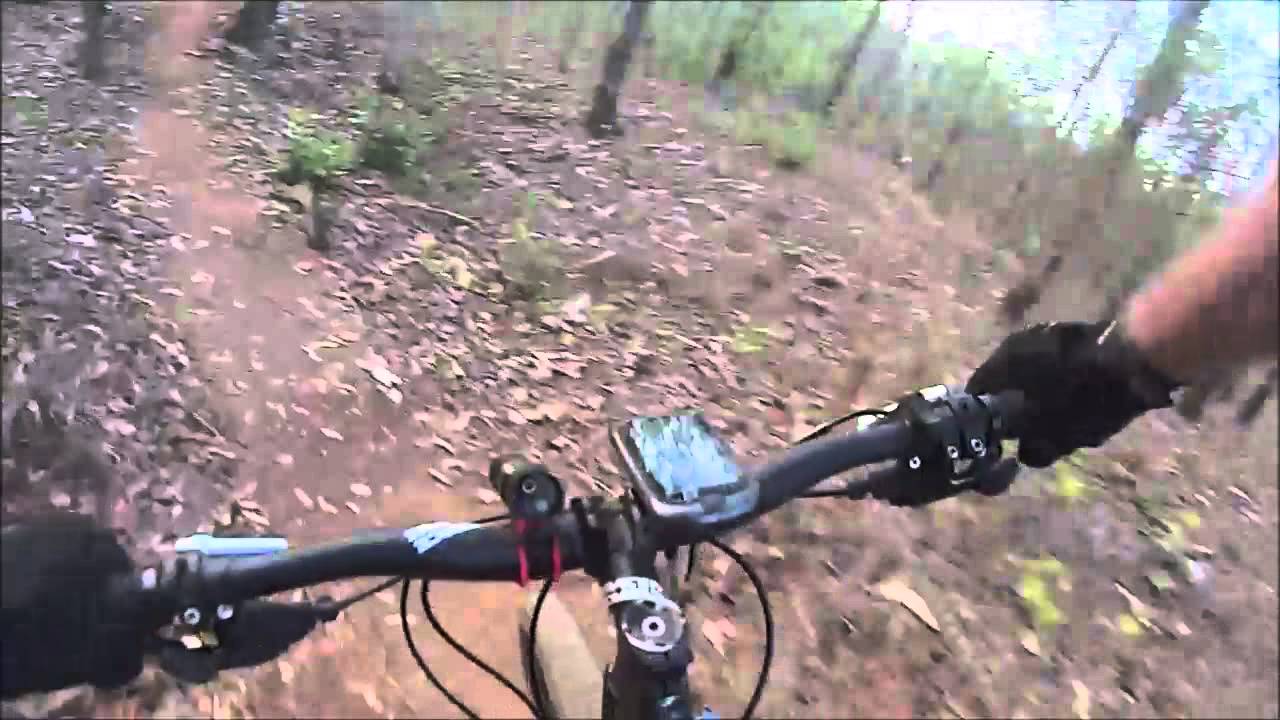 Howard Springs Pine Forest, Gravity Cavity - YouTube