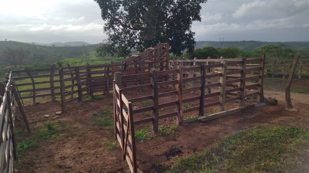 como está ficando o curral? pequeno simples com embarcado - YouTube