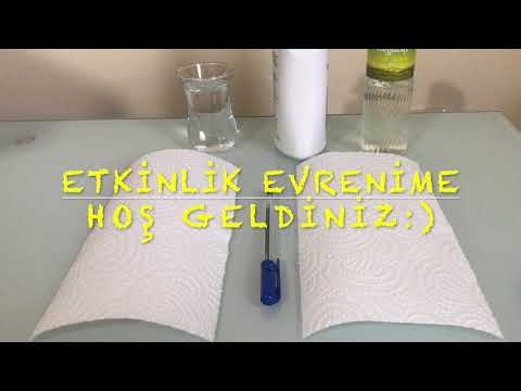 🧪 2 DAKİKADA BİLİM I EVDE KOLAY DENEYLER 👩🏼‍🔬🦠 👨🏼‍🔬