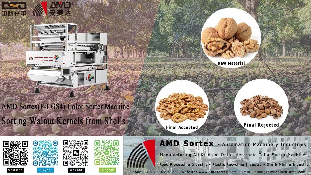 AMD Nuts Food Sortex(P-LGS4) Optical Color Sorter Machine Price for Walnut/Akhrot Kernels ...