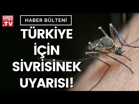 Batı Nil Virüsü Türkiye'ye gelir mi? | Haber Bülteni