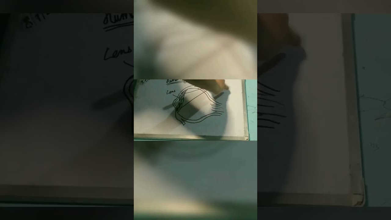 Human Eye Diagram Class 10th shorts ytshorts humaneye diagram Human Eye Diagram Class 10th shorts ytshorts humaneye diagram