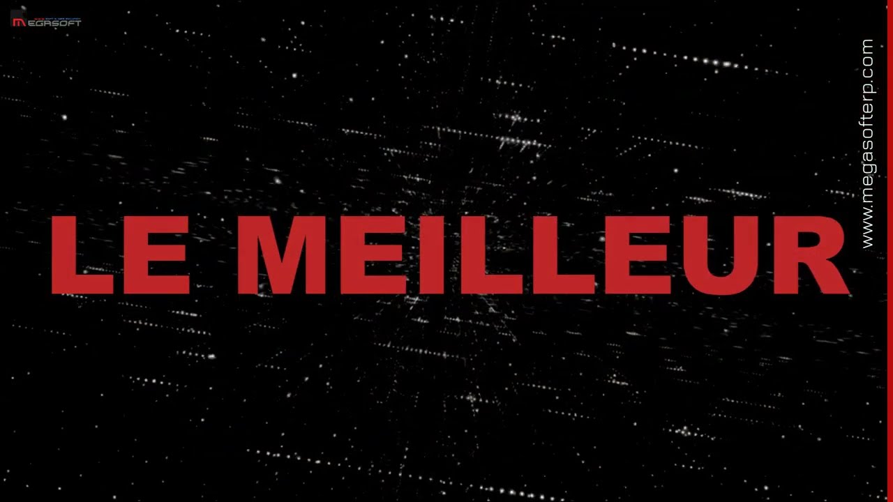 Logotipo De Megasoft