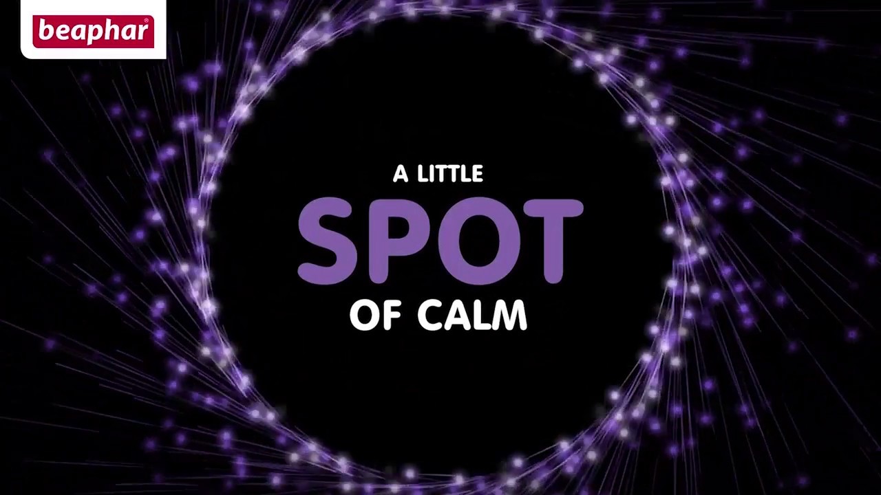 Beaphar Calming Spot On perros y gatos - YouTube