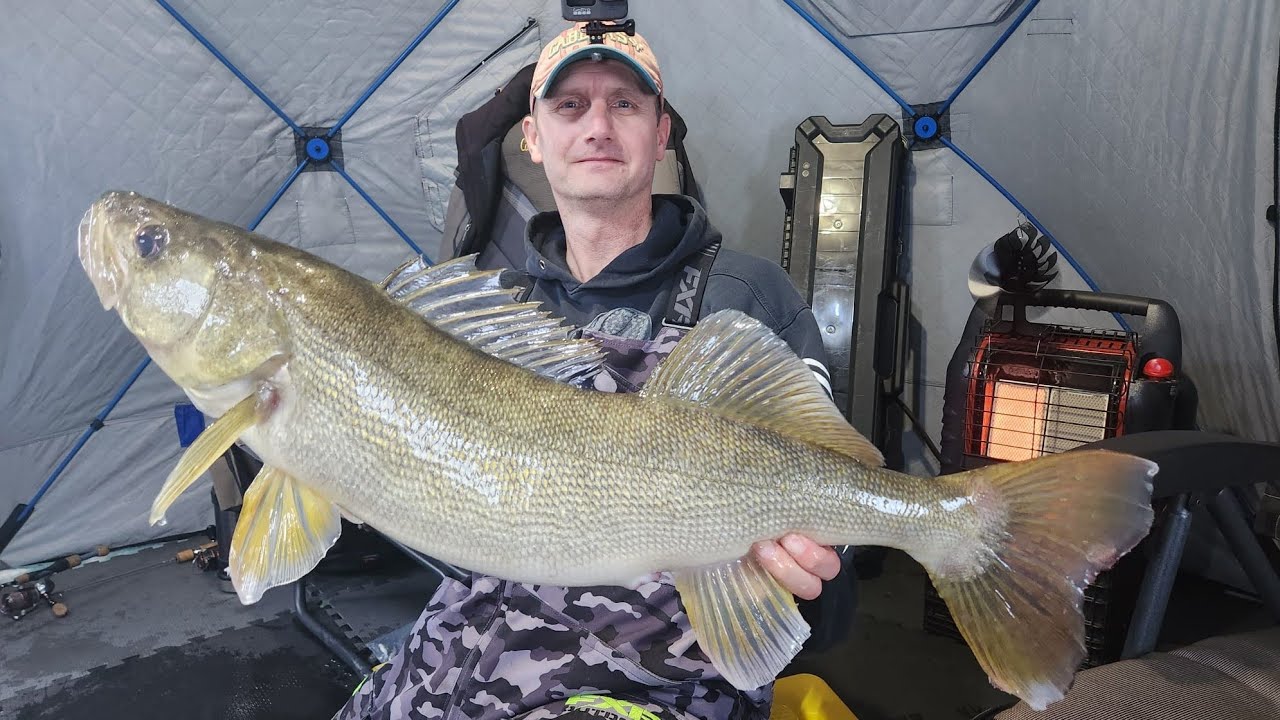 Tank Walleye!! Ice Fishing Prime Time for BIG Walleye! - YouTube