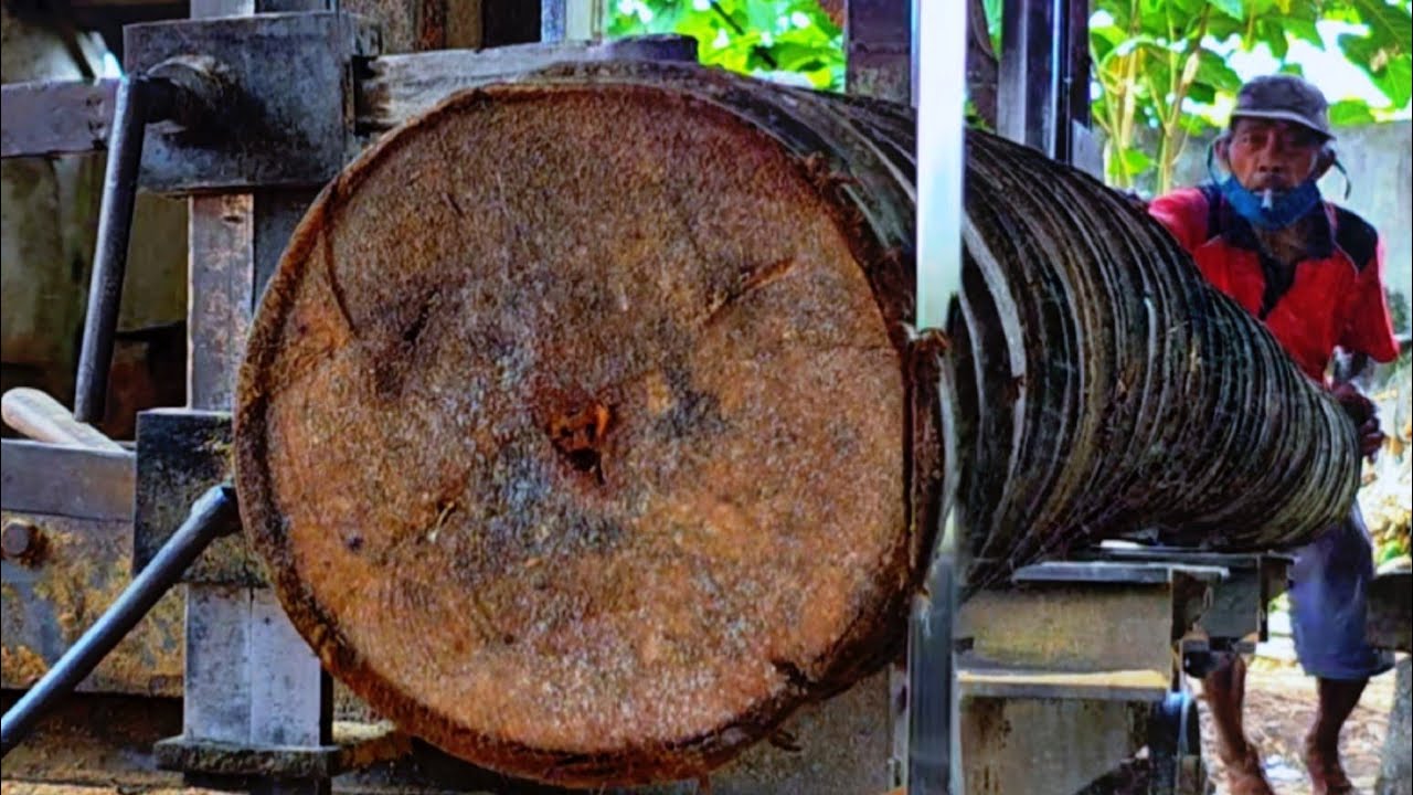 Massive 13-Foot Coconut Log Milled into 6\times6 Lumber (Amazing ...