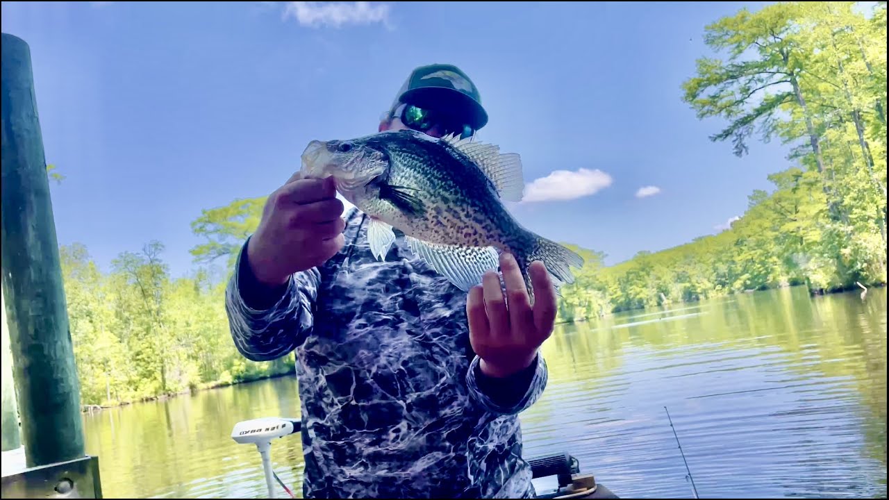 Catching CRAPPIE EVERY CAST!! - YouTube