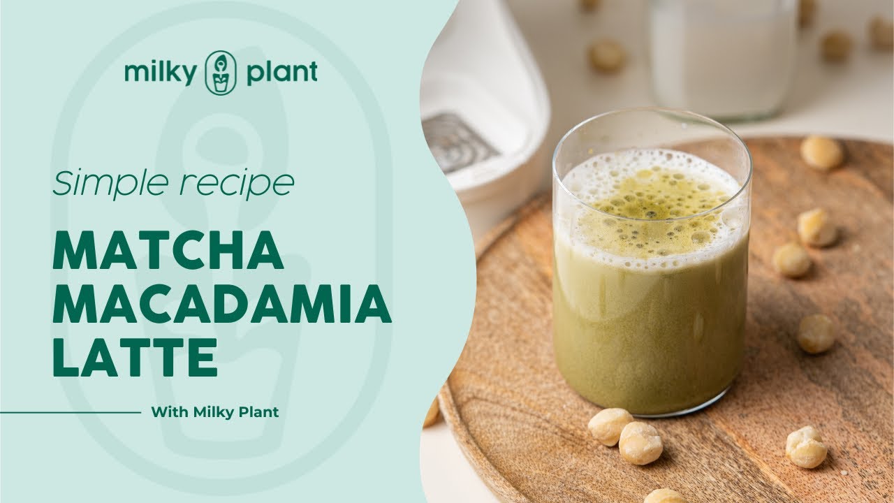 How to Make Creamy Matcha Macadamia Latte | Recipes by Milky Plant 🌱 ...