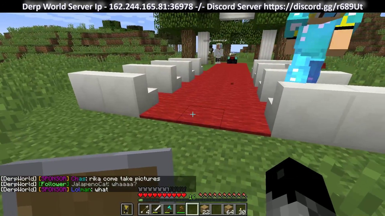 #5 Will you take this Chicken (a derp town marraige) - Derp World ...