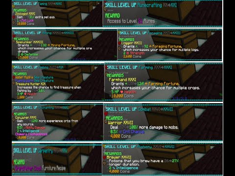 Most Skills Leveled up in 60 Seconds - Hypixel Skyblock - YouTube
