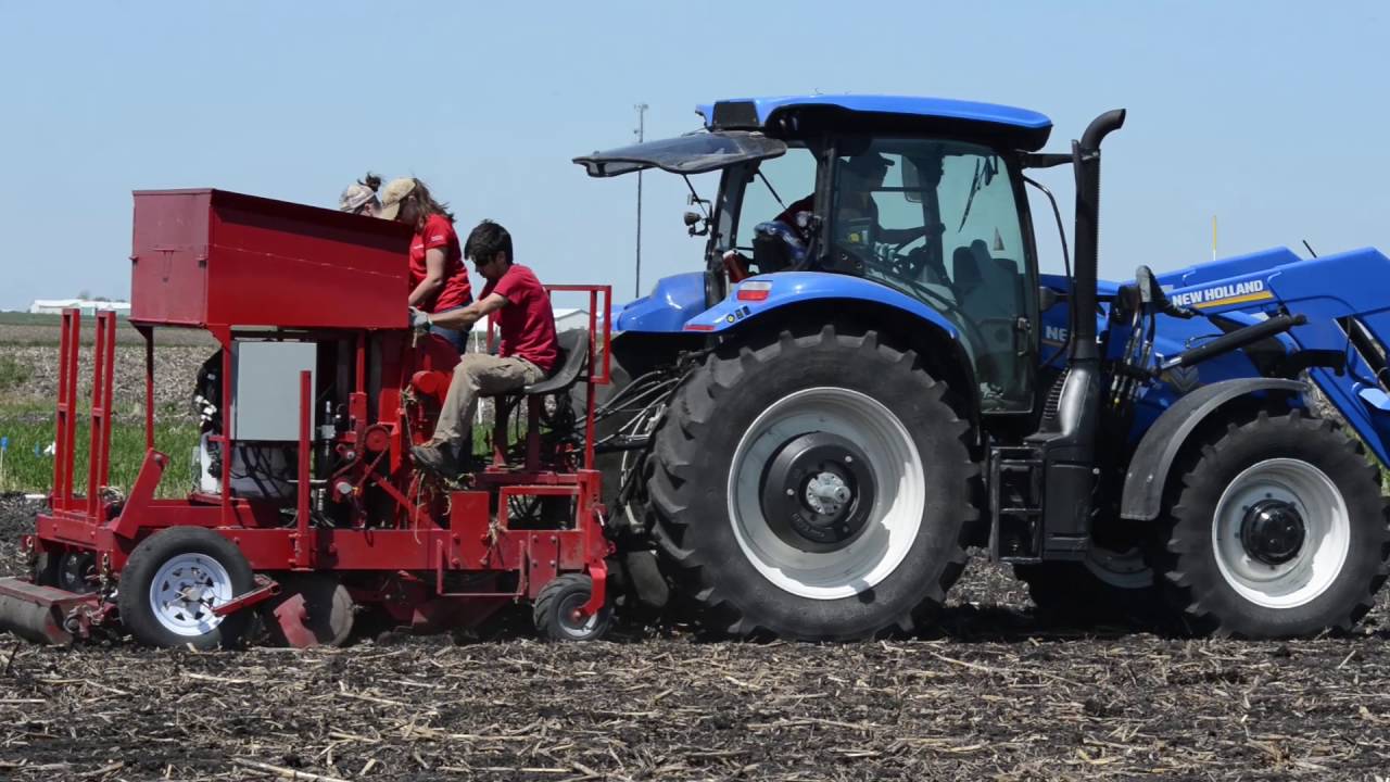 Miscanthus Planting, Iowa State University, May 2016 - YouTube