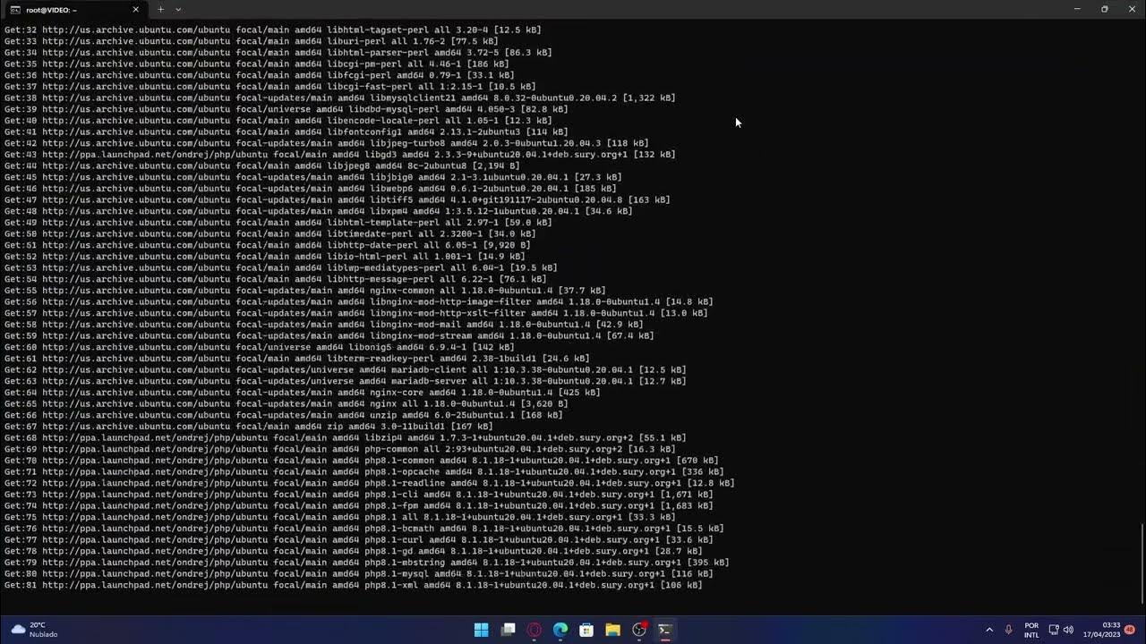 Como instalar o Pterodactyl pelo script - YouTube