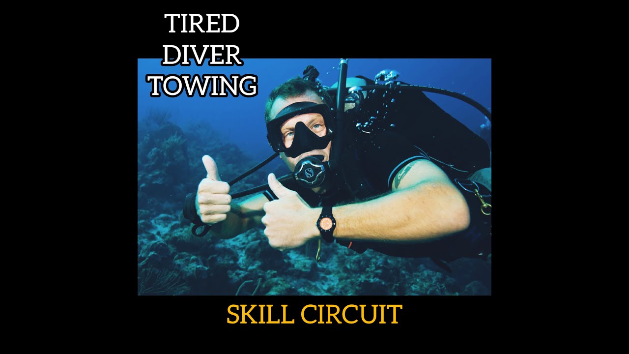 TIRED DIVER TOW/PADI SKILL CIRCUIT FOR DIVE MASTER OR IDC COURSE - YouTube