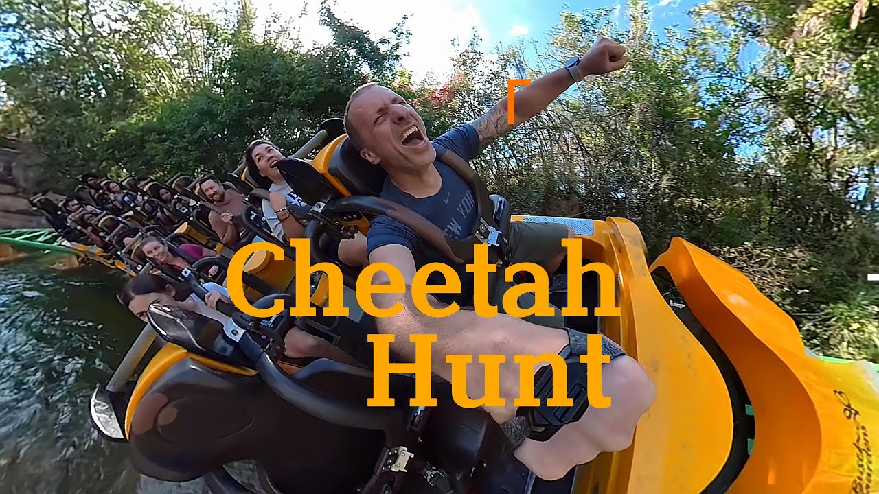 Cheetah Hunt -(Insta 360 One X2) - Busch Gardens - Tampa (4K 30FPS ...