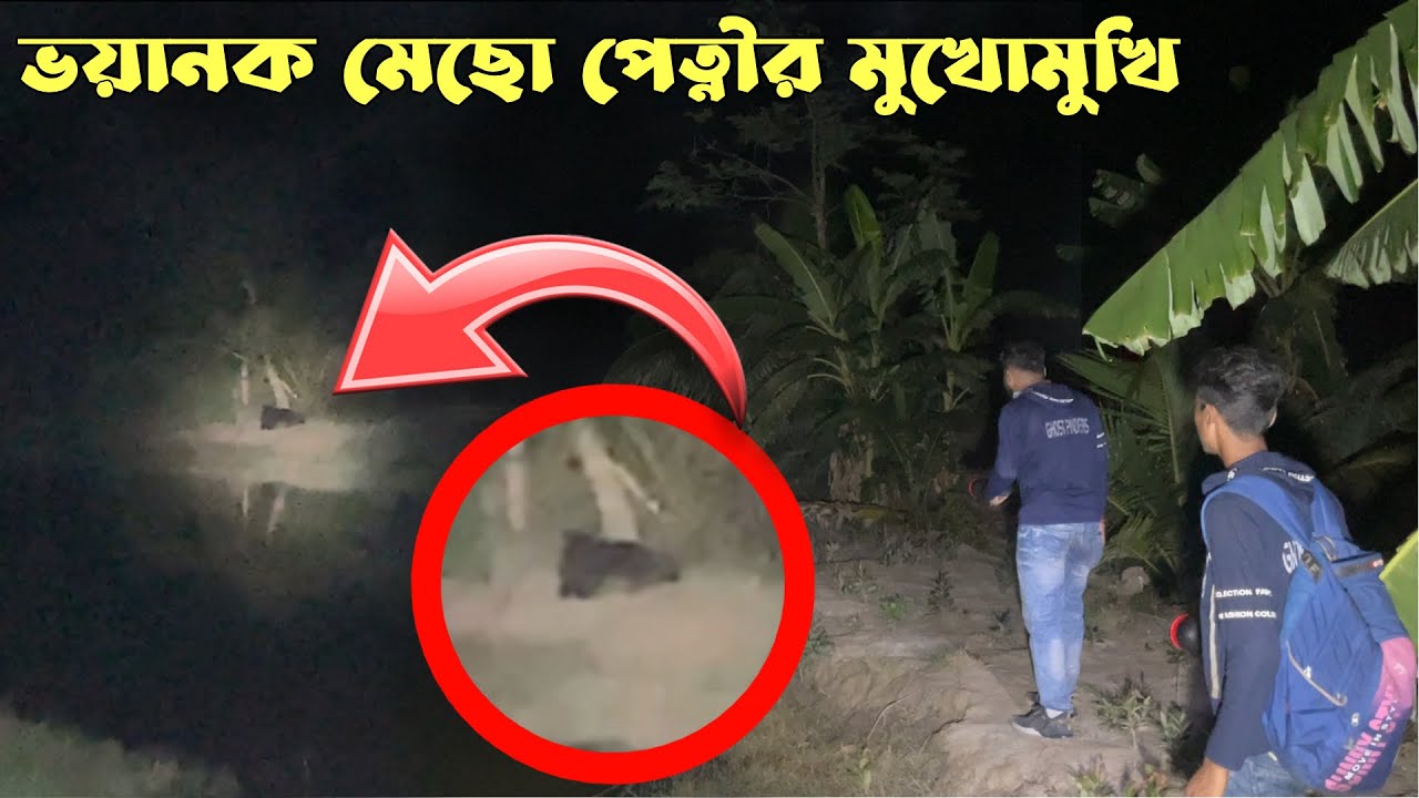 ভয়ানক মেছো পেত্নীর মুখোমুখি॥Direct Attack Of Terrible Ghost ॥ Ghost ...