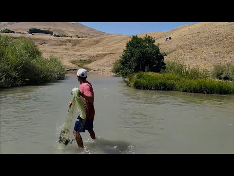 ZAP SUYU BALIK AVI                                   #FISHING #ANGELN #VISSEN #PÊCHE #BALIKAVI