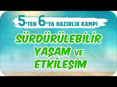 Sürdürülebilir Yaşam ve Etkileşim 📗 5'ten 6'ya Hazırlık Kampı #56FEN9 #2026