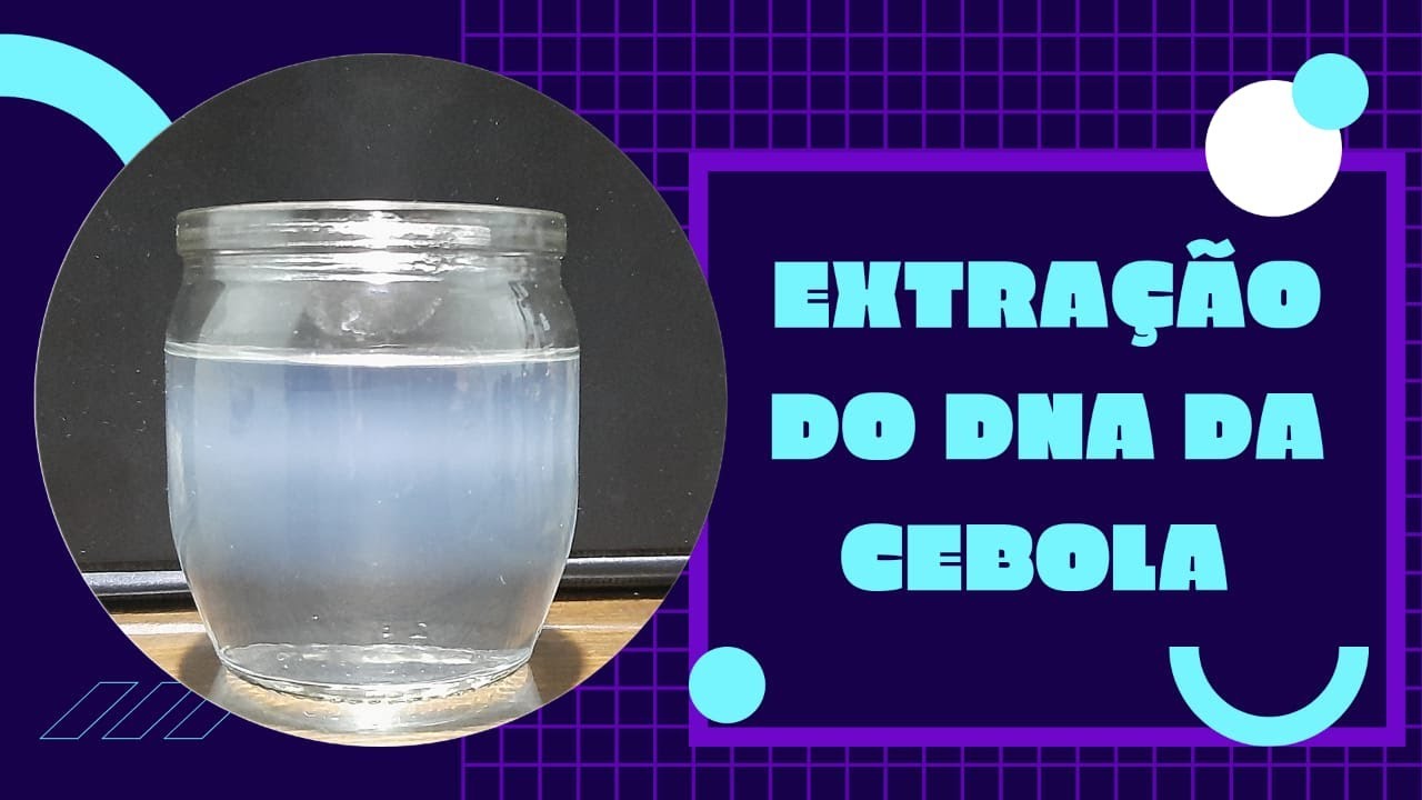 Extração De Dna Da Cebola - RETOEDU