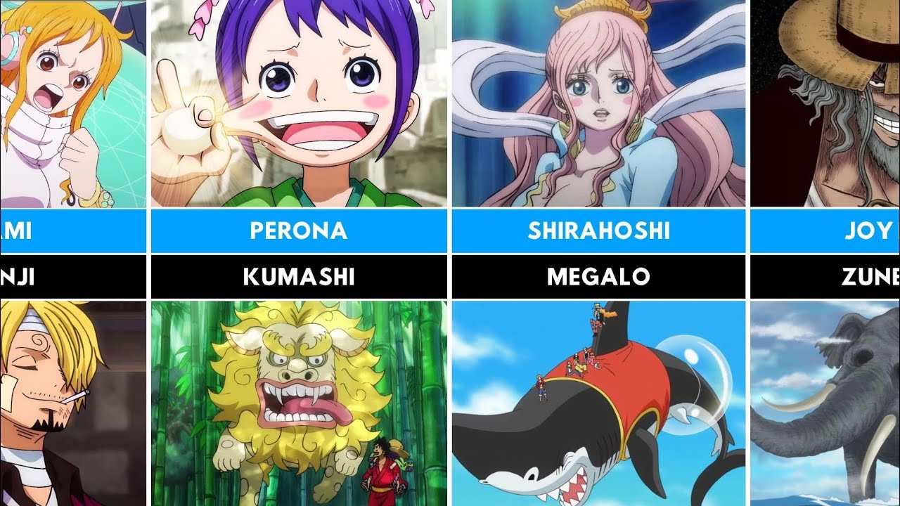 One Piece Characters and Their Pets [One Piece] - YouTube