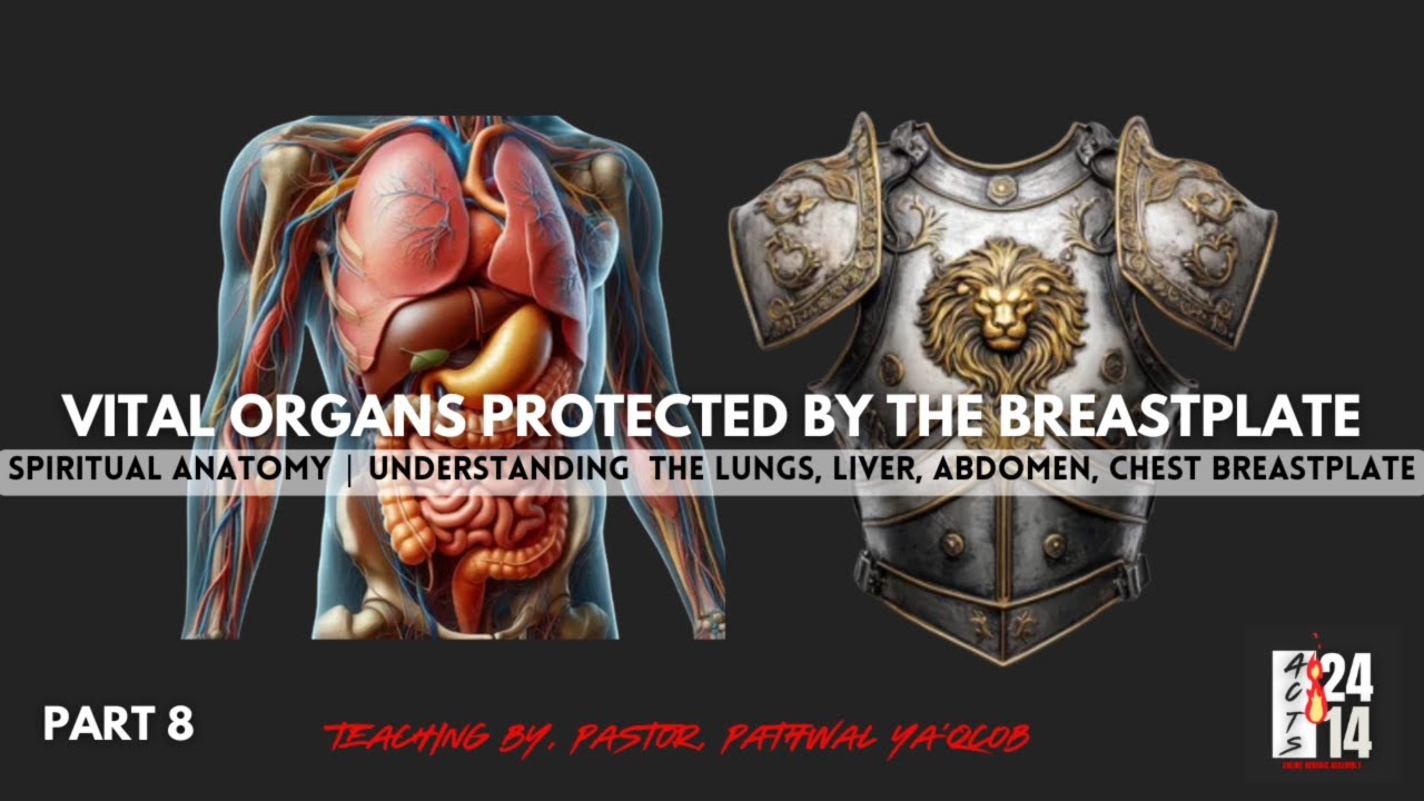 VITAL ORGANS PROTECTED BY THE BREAST PLATE | SPIRITUAL ANATOMY | LUNGS ...