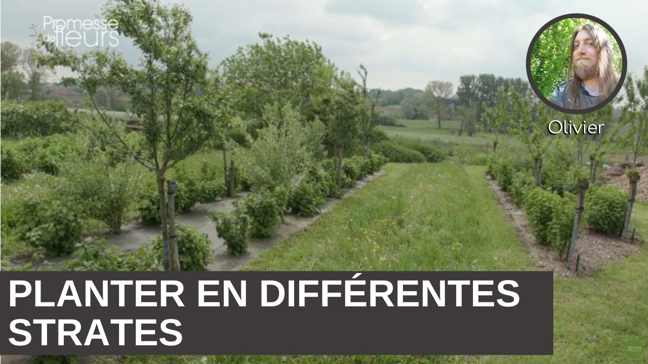La Nature au jardin : planter en différentes strates - YouTube