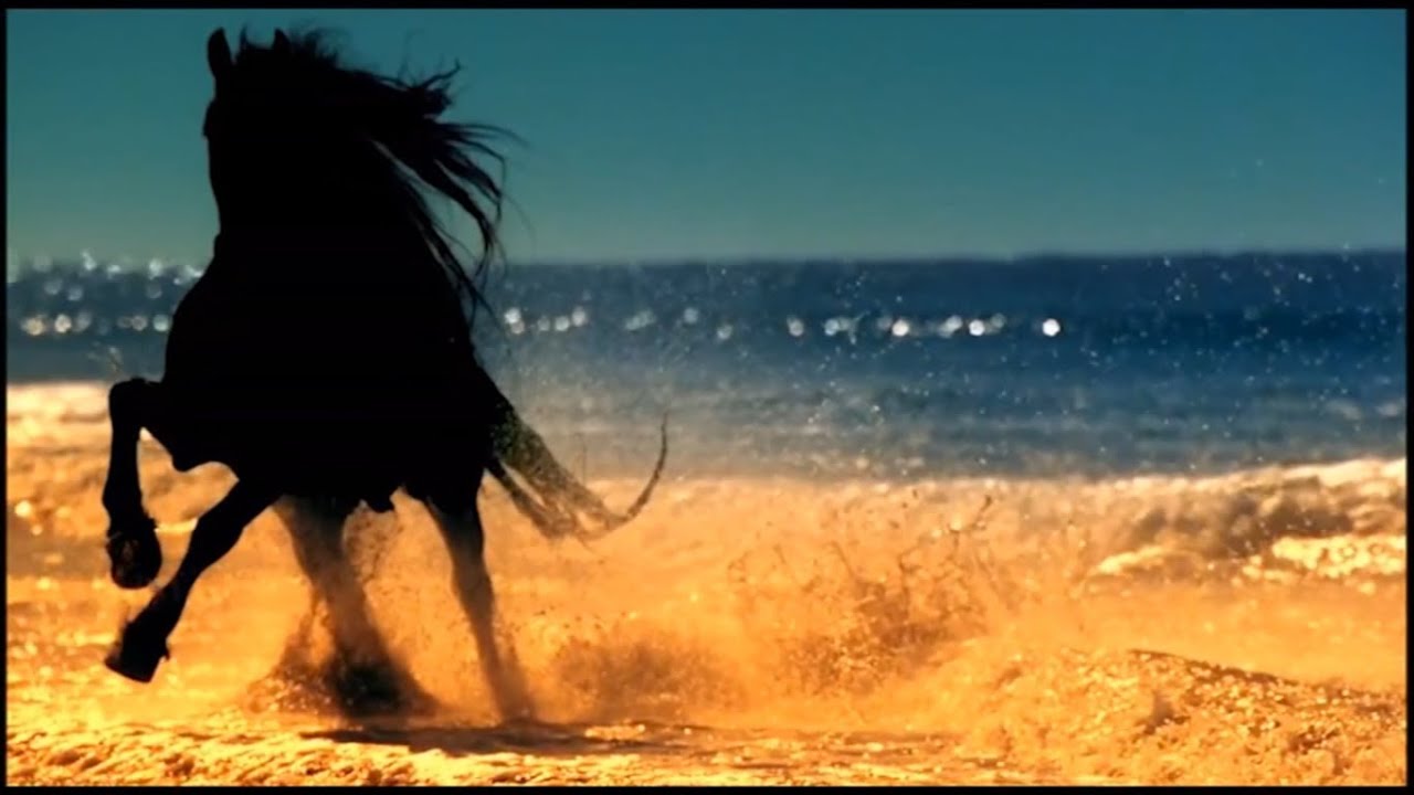 Planet Earth (Nature Is Still Alive) HD - YouTube