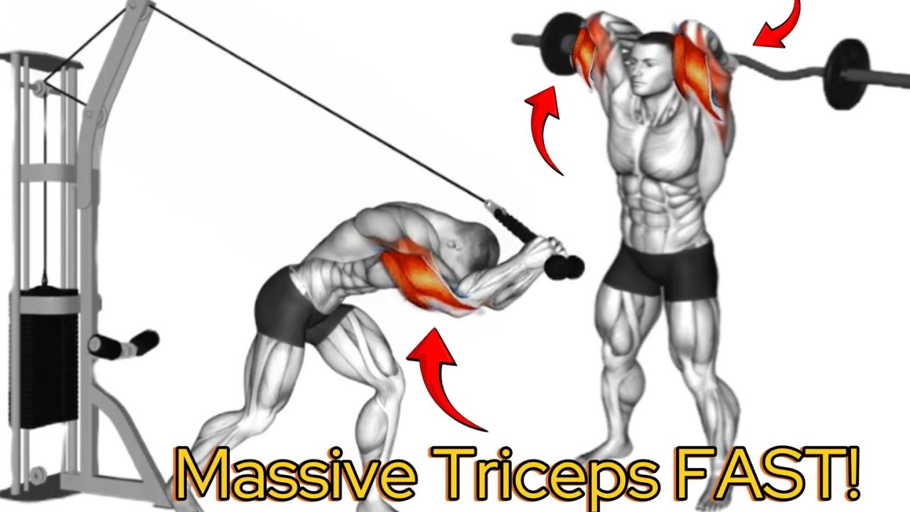 7 Best Triceps Workouts for Massive Arms 🔥 | Build Bigger Triceps Fast ...