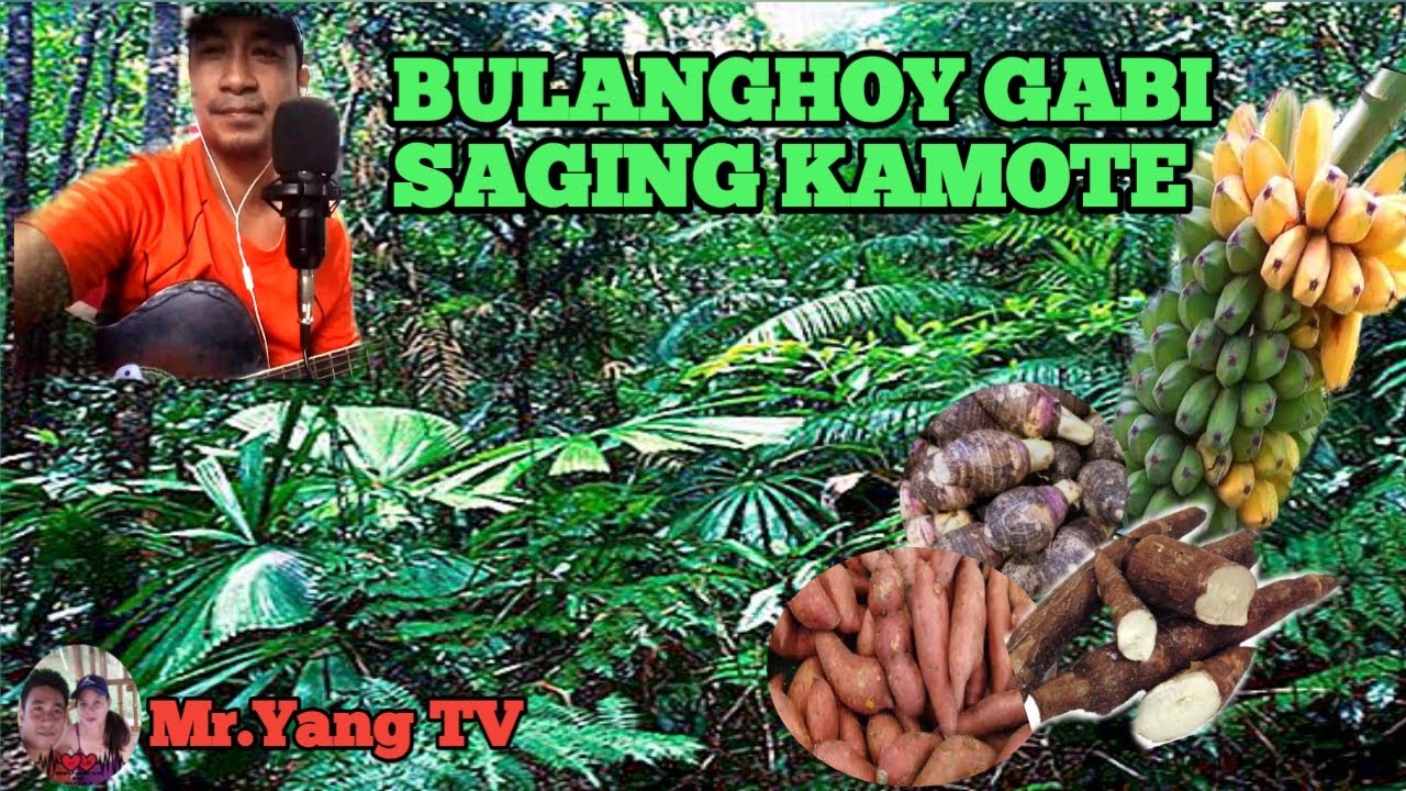 BULANGHOY GABI SAGING KAMOTE(bisaya), #coverbymryangtv - YouTube