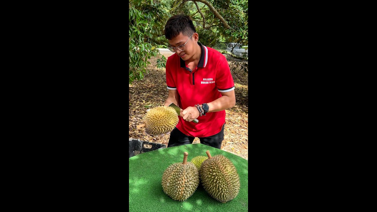 Must Try! Malaysian Durian Fruit Cutting Mater - Malacca Durian Heng ...