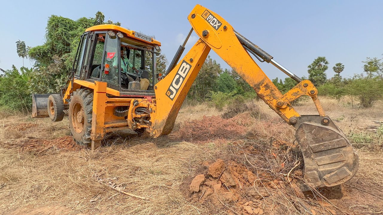 JCB 3DX Going to Gooseberry Tree Uprooting for FireWood | jcb video ...