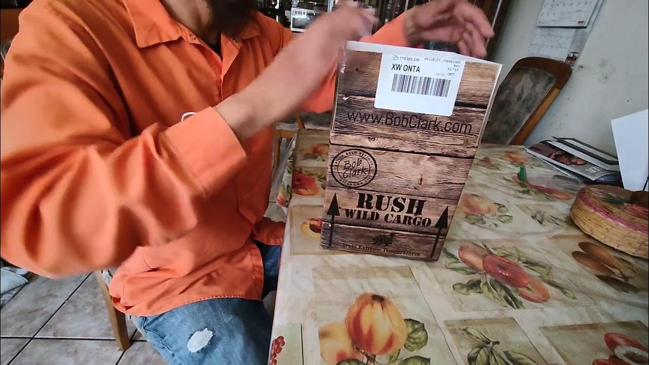 Cow Reticulated Python - YouTube