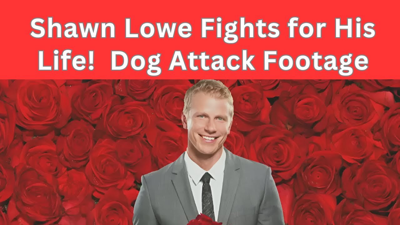 Bachelor Star Shawn Lowe Mauled by His Own Dog! - YouTube