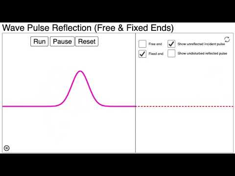Wave Pulse Reflection (Free & Fixed Ends) || Practical Physics - YouTube