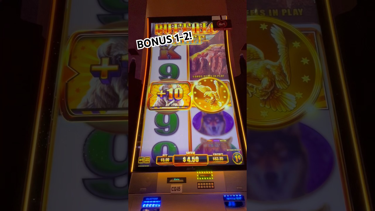 SWEET HIT! BUFFALO CHIEF BONUS! $5.00 MAX BET! - YouTube