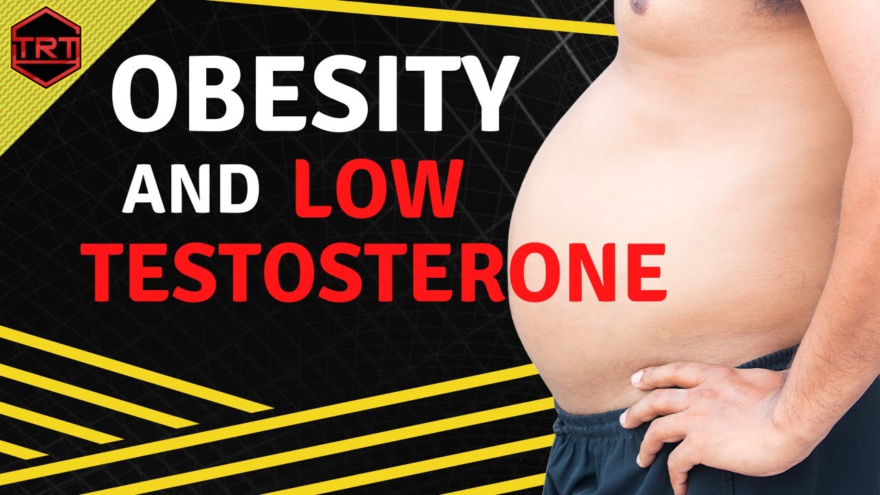 Does Being Fat Lower Testosterone Levels? - YouTube