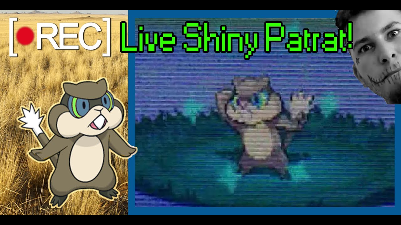 Live! Shiny Patrat after 5,713 REs! White 2 - YouTube