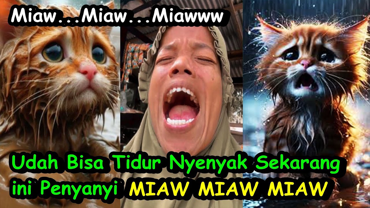 miaw miaw miaw - YouTube