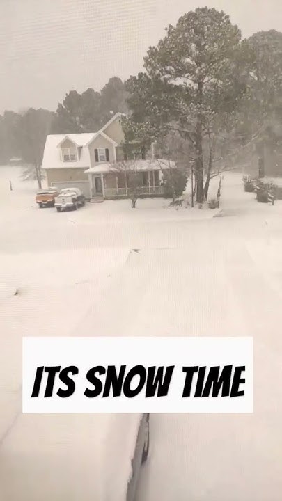 Its snow time #duet #music #toucan #snow #puppets #plushes # ...