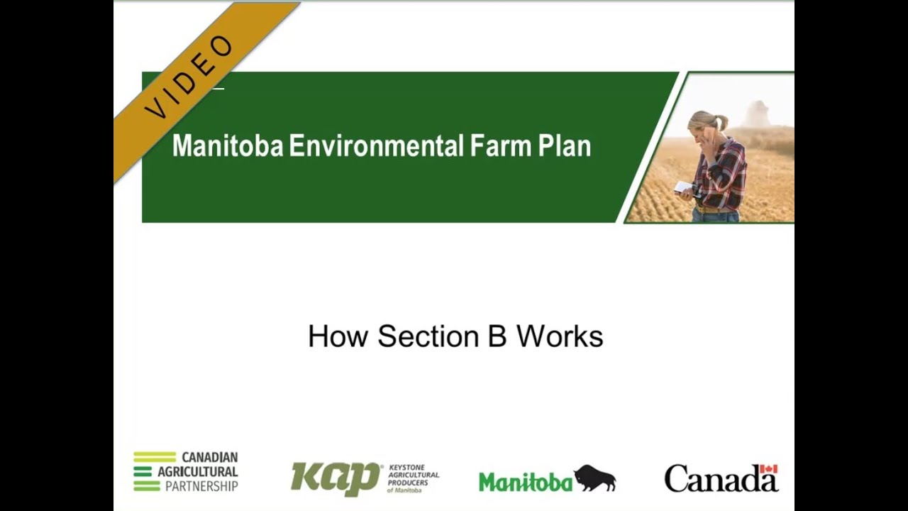 How Section B works - YouTube