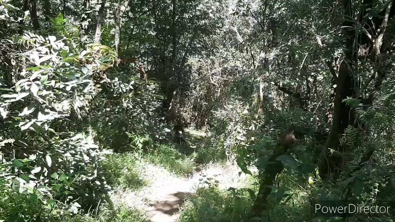 Exploring new place in Matupi - YouTube