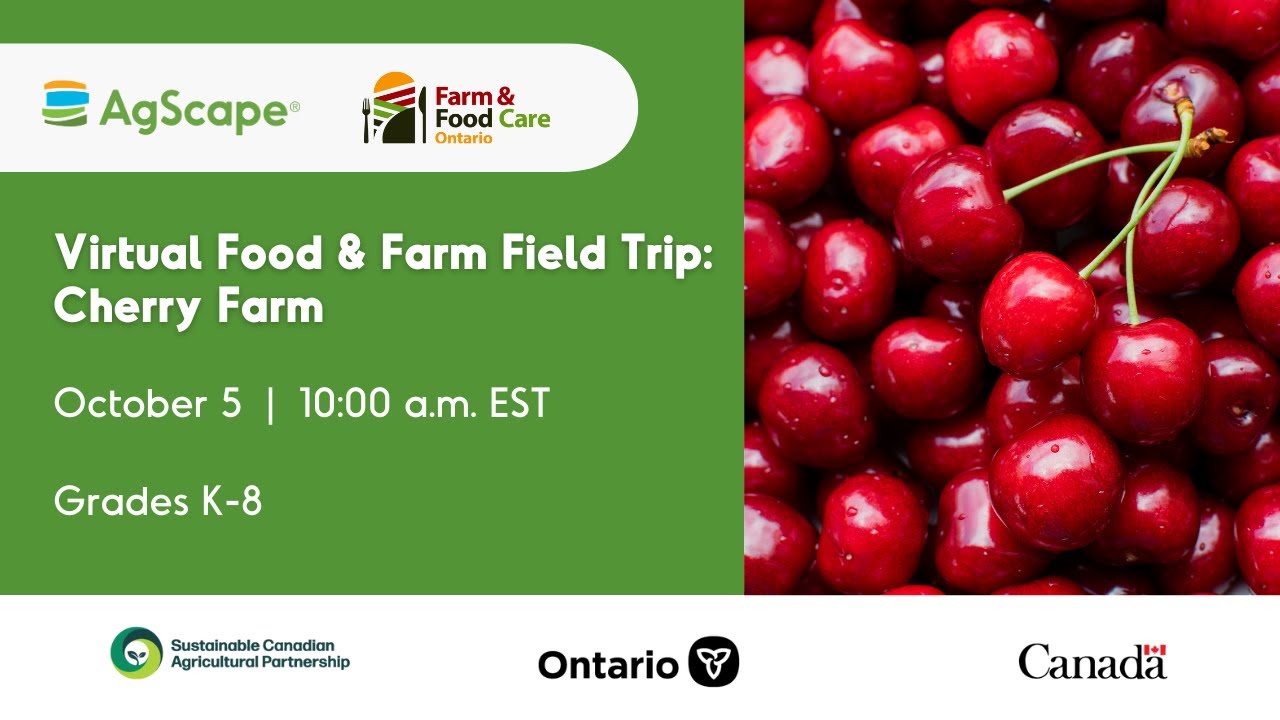 Cherry Farm Food and Farm Field trip - YouTube