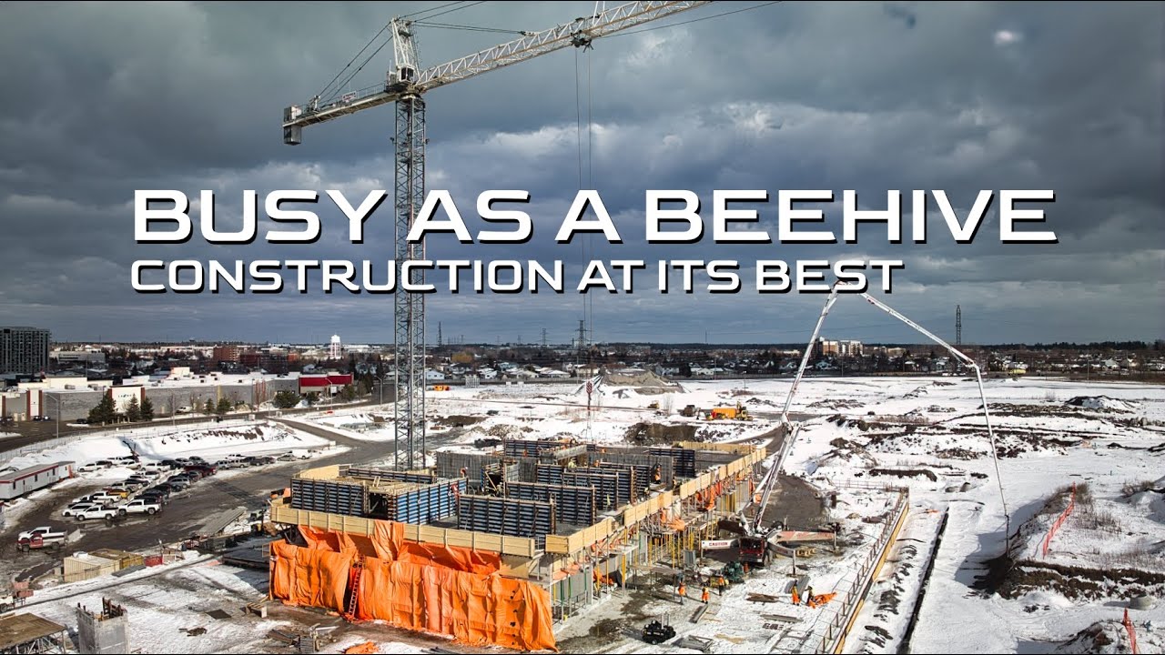 Busy as a Bee Hive - construction at its best 4K - YouTube