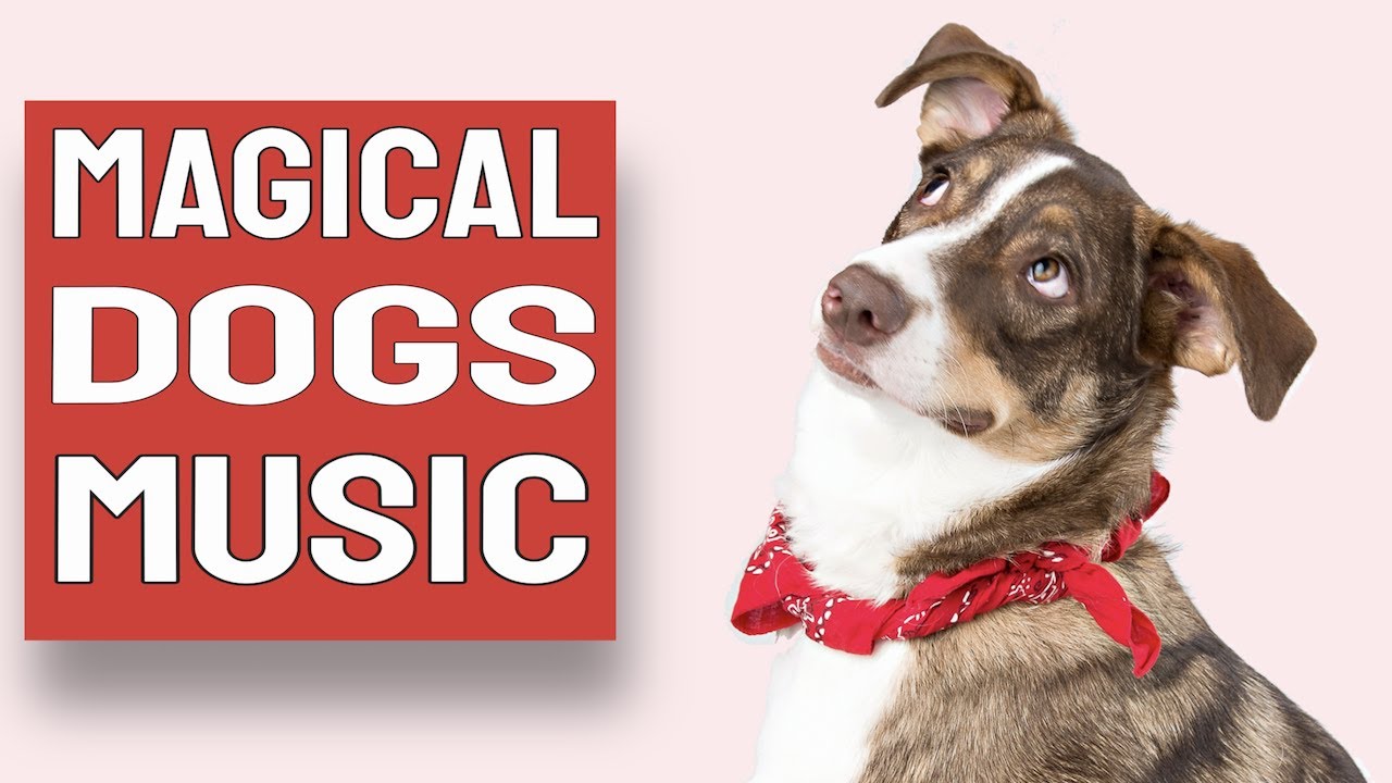 Music For Dogs To Go To Sleep Fast YouTube music-for-dogs-to-go-to-sleep-fast-youtube