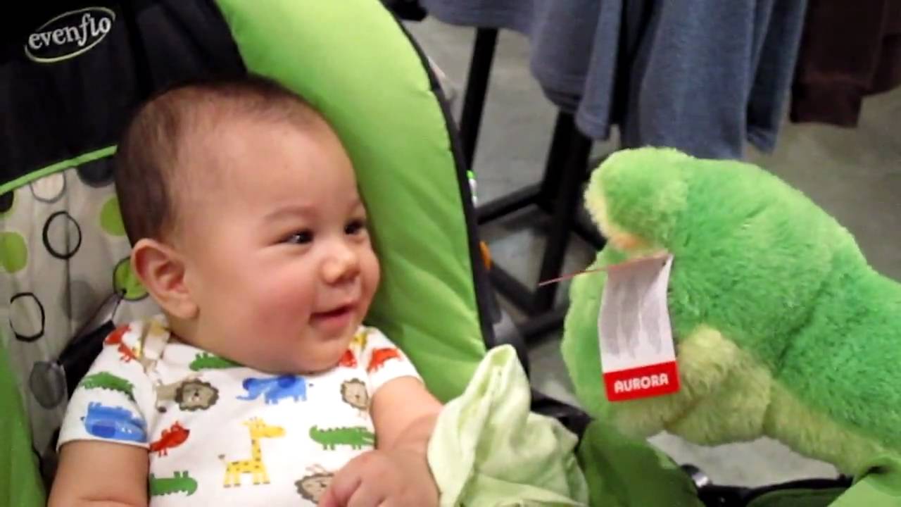 Laughing at a frog puppet, so cute!! - YouTube